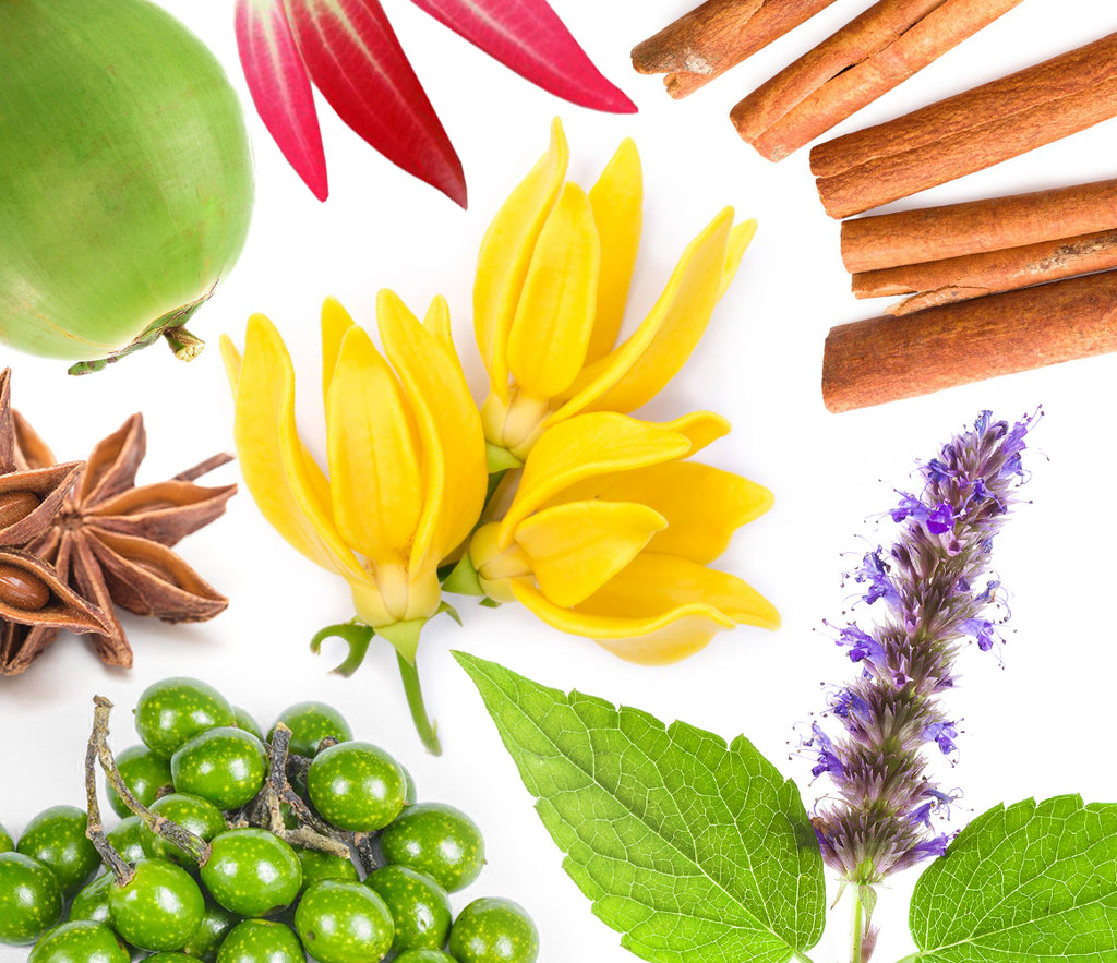 Anami Aphrodisia Sensual Massage Oil – Anami Alchemia